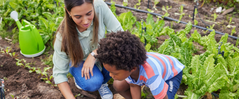 Gardening Program – Maple Valley Foodbank